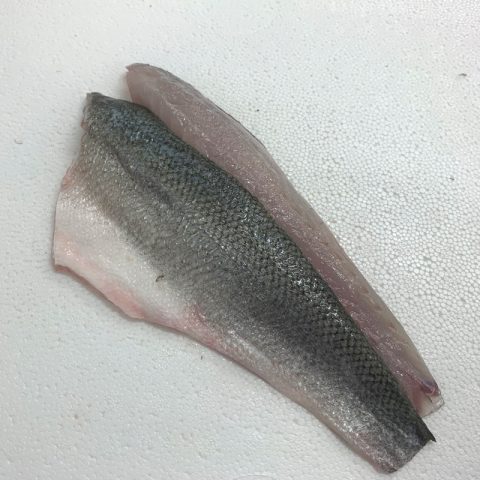 Fresh Sea Bass Fillets - Fish Shack