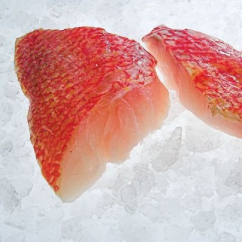 Red Snapper Fillet Portions - Frozen - Fish Shack