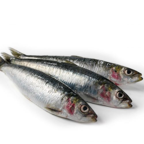 Fresh Whole Sardines - Fish Shack